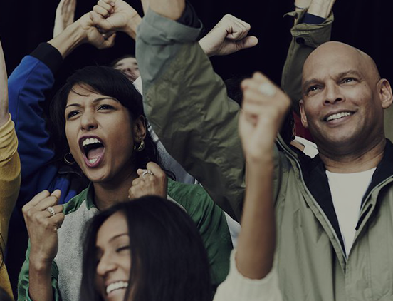 Custom Fan-Club® Waitlist for Less Than 3000 Units | Join Now! – FAN ...